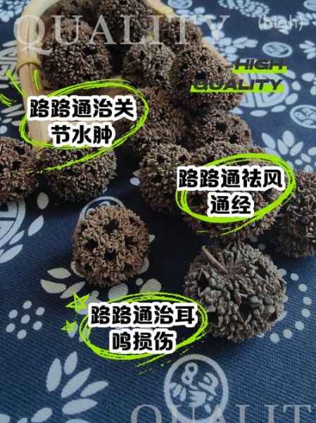 路路通的功效与作用_路路通怎么吃效果最好-第1张图片-山城妙识