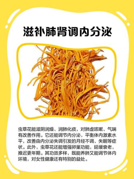 虫草花的功效与作用及禁忌_哪些人不能吃-第2张图片-山城妙识