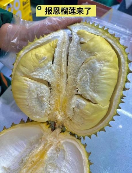 金枕榴莲怎么挑_金枕榴莲多少钱一斤-第2张图片-山城妙识