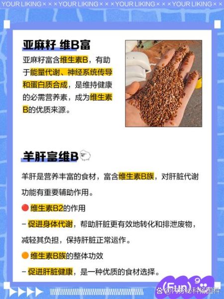 哪些食物含维生素b_维生素b族食物排行榜-第2张图片-山城妙识 哪些食物含维生素b_维生素b族食物排行榜-第2张图片-山城妙识