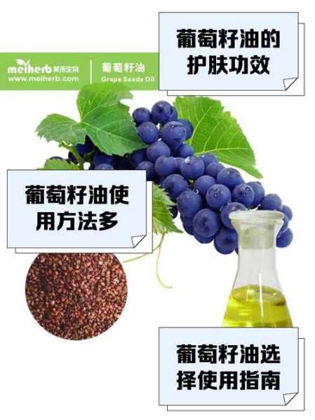 葡萄籽油怎么吃最好_葡萄籽油适合高温炒菜吗-第1张图片-山城妙识