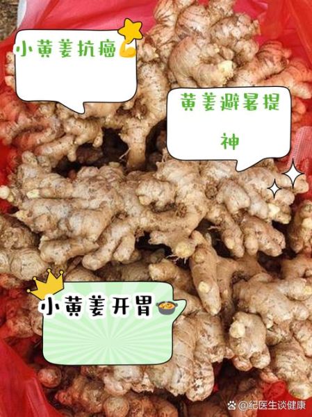 黄姜的功效与作用及食用方法_黄姜怎么吃最好-第3张图片-山城妙识