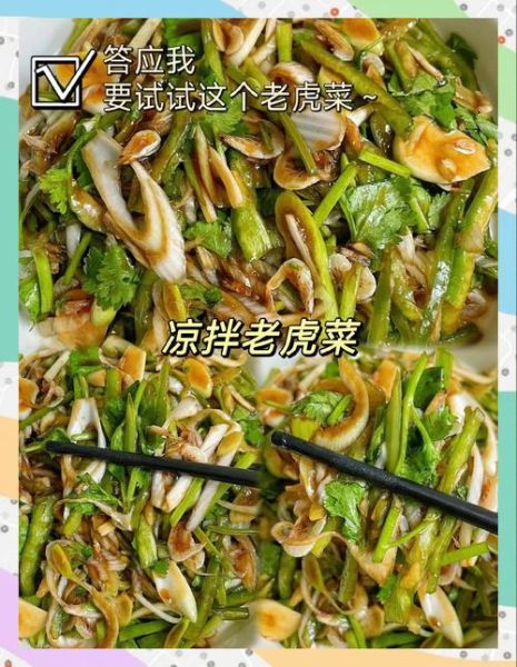 老虎菜为什么叫老虎菜_东北老虎菜名字由来-第1张图片-山城妙识
