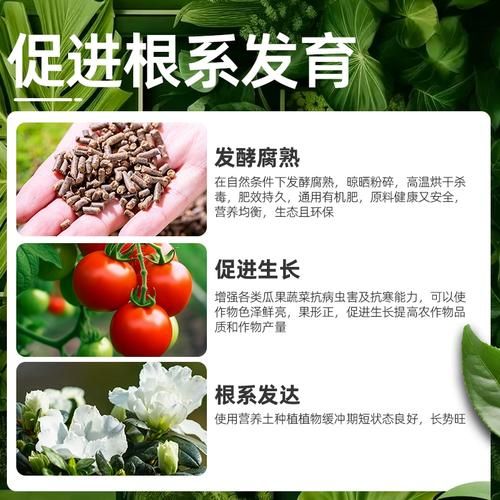豆饼怎么发酵做肥料_豆饼发酵最简单的方法-第3张图片-山城妙识 豆饼怎么发酵做肥料_豆饼发酵最简单的方法-第3张图片-山城妙识