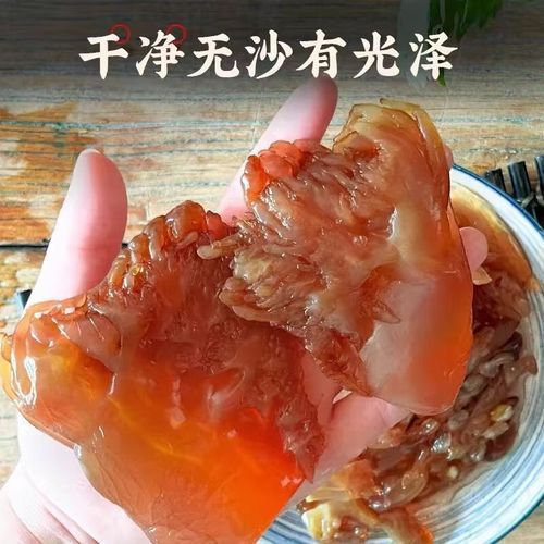 海蜇图片多少钱一斤_新鲜海蜇批发价格-第3张图片-山城妙识