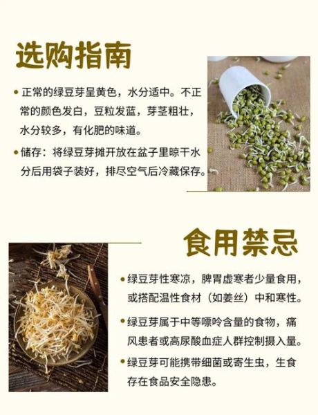 绿豆芽的营养价值及功效_绿豆芽怎么吃最营养-第1张图片-山城妙识