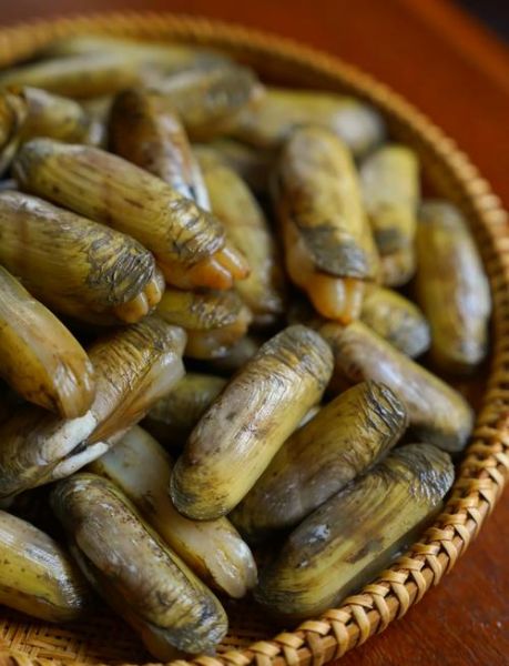 蛏子粤语怎么读_蛏子粤语发音与叫法-第2张图片-山城妙识 蛏子粤语怎么读_蛏子粤语发音与叫法-第2张图片-山城妙识