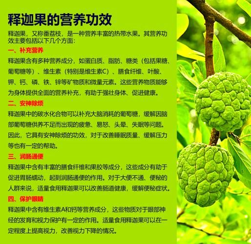 释迦果的籽能种吗_释迦果种子怎么种-第3张图片-山城妙识 释迦果的籽能种吗_释迦果种子怎么种-第3张图片-山城妙识