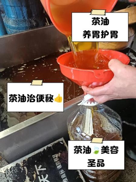 茶油治胃病要喝多久_多久见效-第3张图片-山城妙识 茶油治胃病要喝多久_多久见效-第3张图片-山城妙识