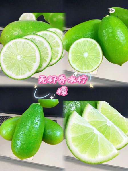 青柠檬怎么吃最好_青柠檬的正确吃法-第3张图片-山城妙识