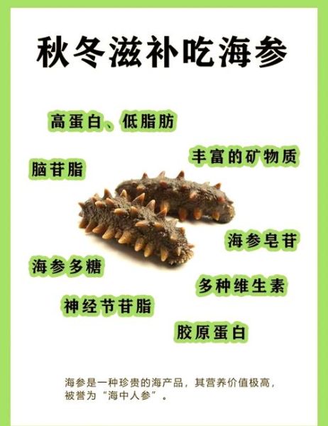 野生海参的功效有哪些_野生海参怎么吃最补-第2张图片-山城妙识 野生海参的功效有哪些_野生海参怎么吃最补-第2张图片-山城妙识