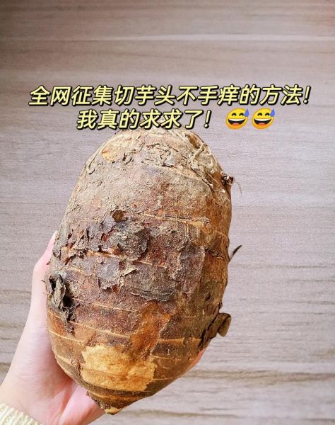 芋头过敏最快的止痒方法_芋头过敏怎么止痒最快-第3张图片-山城妙识 芋头过敏最快的止痒方法_芋头过敏怎么止痒最快-第3张图片-山城妙识