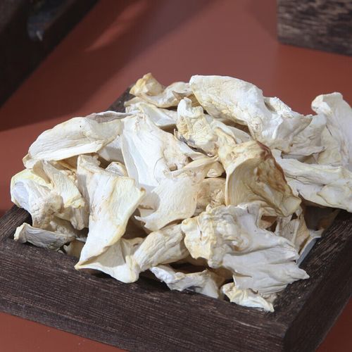 鲍鱼菇图片_如何挑选新鲜鲍鱼菇-第1张图片-山城妙识 鲍鱼菇图片_如何挑选新鲜鲍鱼菇-第1张图片-山城妙识