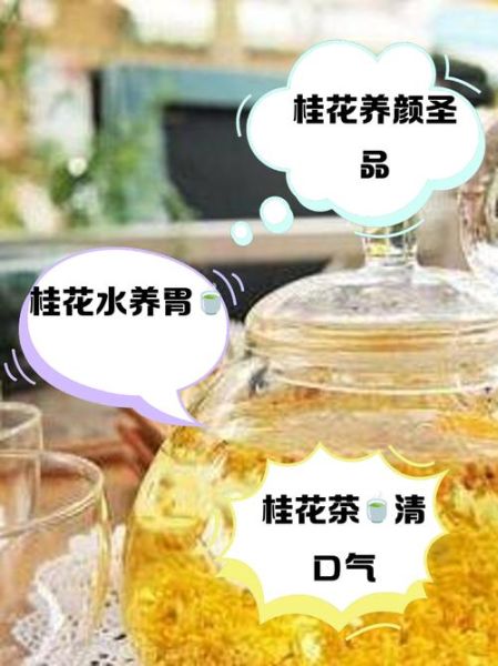 干桂花泡水喝的功效与作用_干桂花泡水可以天天喝吗-第2张图片-山城妙识