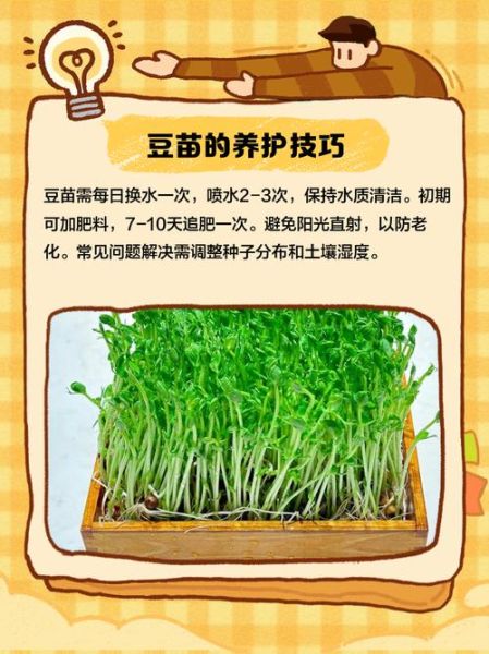 豆苗兽是什么_豆苗兽怎么养-第1张图片-山城妙识 豆苗兽是什么_豆苗兽怎么养-第1张图片-山城妙识