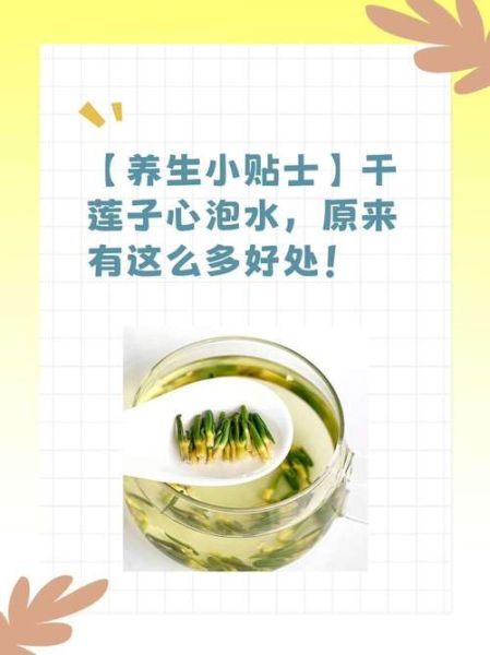 莲子心有什么功效_莲子心泡水喝有什么作用-第3张图片-山城妙识 莲子心有什么功效_莲子心泡水喝有什么作用-第3张图片-山城妙识