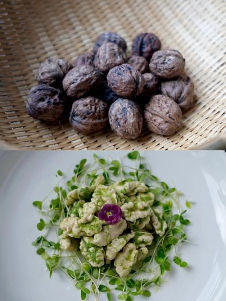 香椿苗拌核桃仁怎么做_香椿苗拌核桃仁的营养价值-第2张图片-山城妙识 香椿苗拌核桃仁怎么做_香椿苗拌核桃仁的营养价值-第2张图片-山城妙识