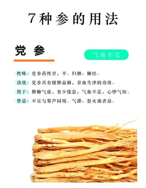 人参片和西洋参片的区别_哪个更适合日常泡水-第1张图片-山城妙识