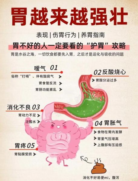 肠胃不好吃什么养胃_如何调理肠胃最有效-第2张图片-山城妙识