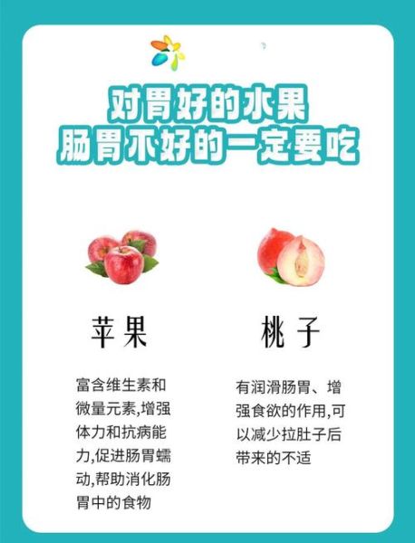 肠胃不好吃什么养胃_如何调理肠胃最有效-第1张图片-山城妙识