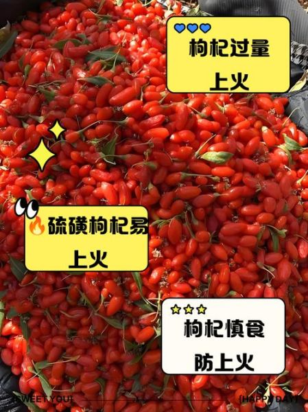吃枸杞上火吗_枸杞一天吃多少粒不上火-第1张图片-山城妙识 吃枸杞上火吗_枸杞一天吃多少粒不上火-第1张图片-山城妙识