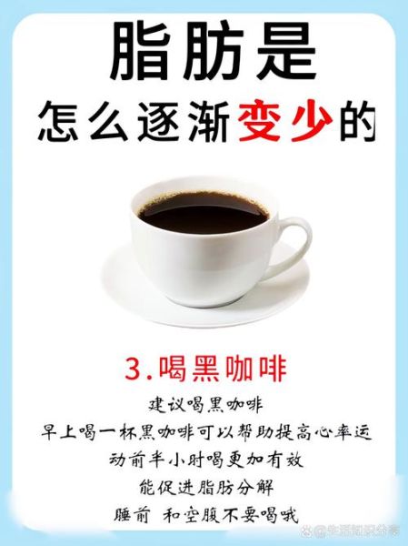 如何科学减脂_健康减脂肪最佳方法-第1张图片-山城妙识 如何科学减脂_健康减脂肪最佳方法-第1张图片-山城妙识