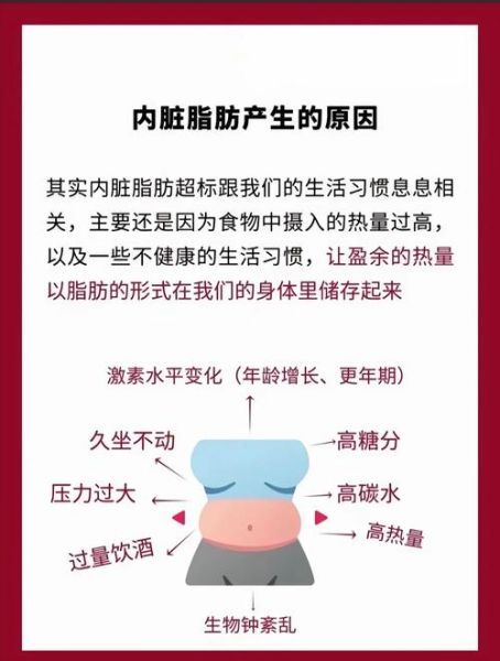 如何科学减脂_健康减脂肪最佳方法-第2张图片-山城妙识 如何科学减脂_健康减脂肪最佳方法-第2张图片-山城妙识