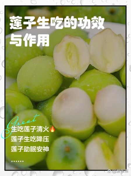 莲子生吃有什么好处_莲子生吃有副作用吗-第1张图片-山城妙识 莲子生吃有什么好处_莲子生吃有副作用吗-第1张图片-山城妙识