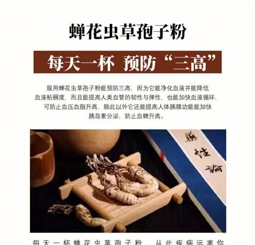 蝉花能提高免疫力吗_蝉花功效与作用有哪些-第3张图片-山城妙识 蝉花能提高免疫力吗_蝉花功效与作用有哪些-第3张图片-山城妙识