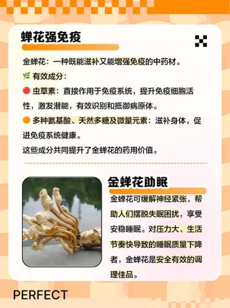 蝉花能提高免疫力吗_蝉花功效与作用有哪些-第1张图片-山城妙识 蝉花能提高免疫力吗_蝉花功效与作用有哪些-第1张图片-山城妙识