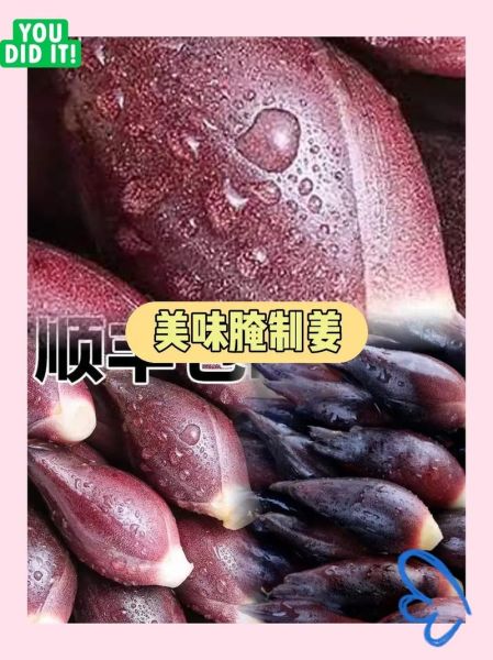 洋荷姜怎么吃_洋荷姜的做法大全-第3张图片-山城妙识