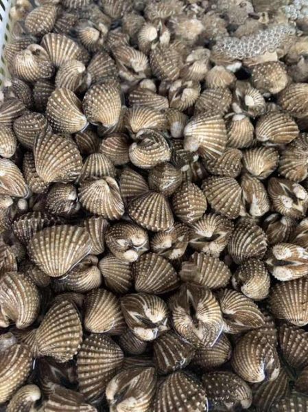 血螺怎么吃_血螺的营养价值-第3张图片-山城妙识 血螺怎么吃_血螺的营养价值-第3张图片-山城妙识