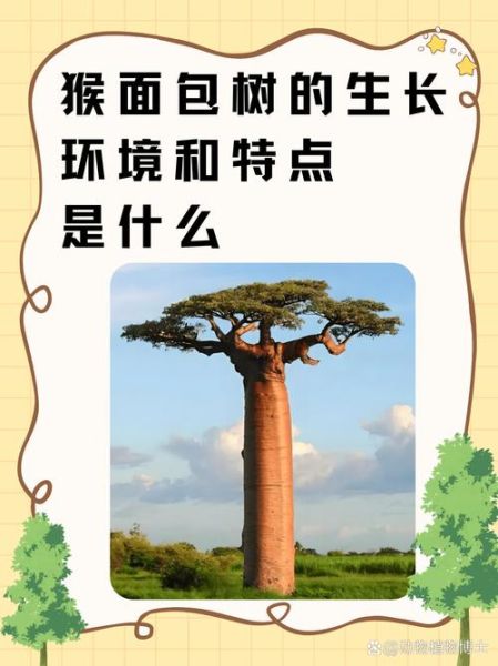 面包树原产自哪里_面包树原产地是哪个国家-第2张图片-山城妙识 面包树原产自哪里_面包树原产地是哪个国家-第2张图片-山城妙识