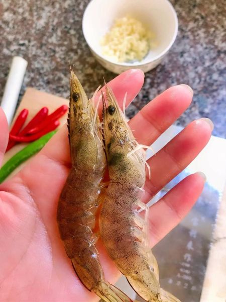 盐水虾怎么煮才鲜嫩_盐水虾要不要去虾线-第1张图片-山城妙识 盐水虾怎么煮才鲜嫩_盐水虾要不要去虾线-第1张图片-山城妙识