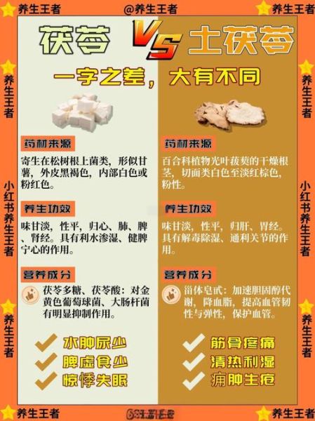 茯苓功效与作用及禁忌是什么_茯苓怎么吃才安全-第1张图片-山城妙识 茯苓功效与作用及禁忌是什么_茯苓怎么吃才安全-第1张图片-山城妙识