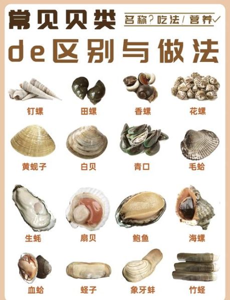 蛤蜊怎么读_蛤蜊读ga还是ge-第3张图片-山城妙识 蛤蜊怎么读_蛤蜊读ga还是ge-第3张图片-山城妙识