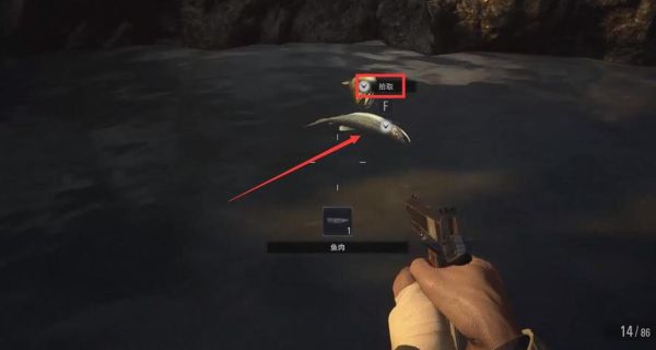 鲤鱼ace生化危机8全流程攻略_生化危机8村庄怎么过-第2张图片-山城妙识 鲤鱼ace生化危机8全流程攻略_生化危机8村庄怎么过-第2张图片-山城妙识