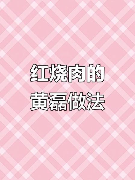 黄磊红烧肉怎么做_黄磊红烧肉做法视频-第3张图片-山城妙识