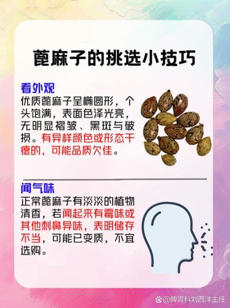 蓖麻种子能吃吗_蓖麻毒素中毒症状-第3张图片-山城妙识