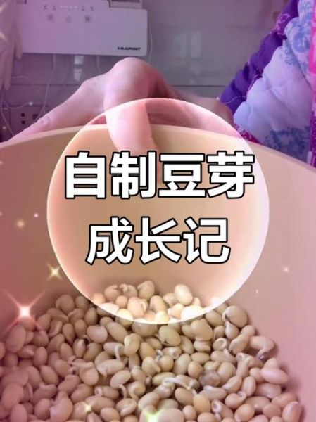 家庭怎么生绿豆芽菜_绿豆芽菜怎么生最快-第1张图片-山城妙识