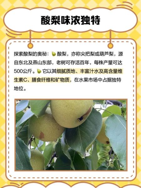 酸梨怎么腌制_酸梨的做法大全-第2张图片-山城妙识