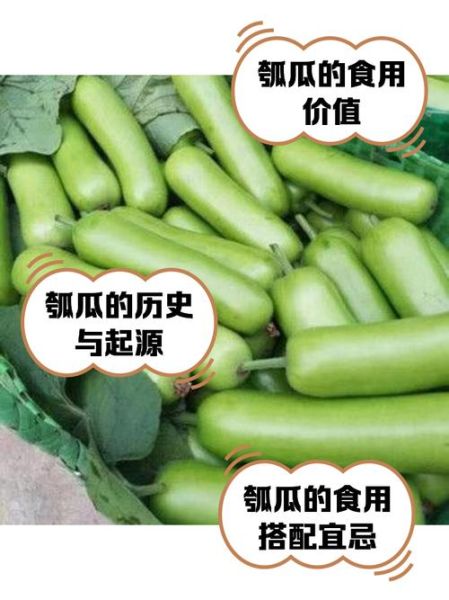 瓠子要焯水吗_瓠子焯水几分钟-第1张图片-山城妙识 瓠子要焯水吗_瓠子焯水几分钟-第1张图片-山城妙识