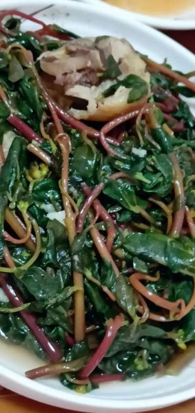 农村常见野菜有哪些_怎么吃最安全-第1张图片-山城妙识