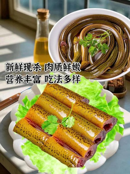 黄鳝怎么杀_黄鳝宰杀的正确步骤-第1张图片-山城妙识 黄鳝怎么杀_黄鳝宰杀的正确步骤-第1张图片-山城妙识