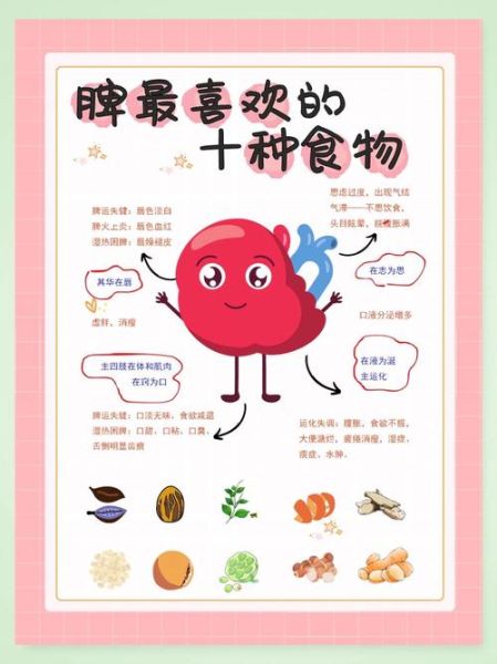 女人脾虚吃什么食物补最快_脾虚女人饮食调理方法-第1张图片-山城妙识 女人脾虚吃什么食物补最快_脾虚女人饮食调理方法-第1张图片-山城妙识