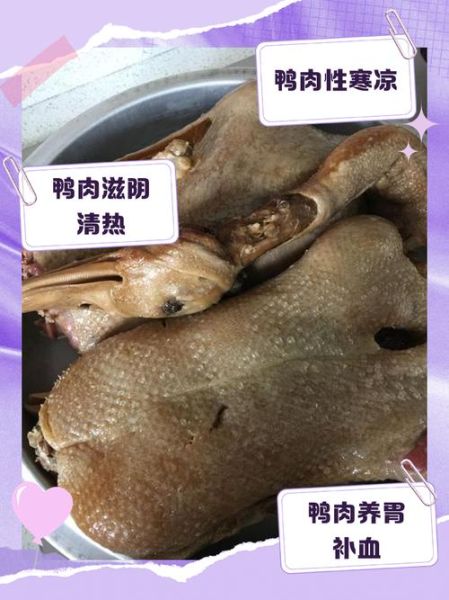 鸭肉性寒还是热_适合哪些人吃-第3张图片-山城妙识