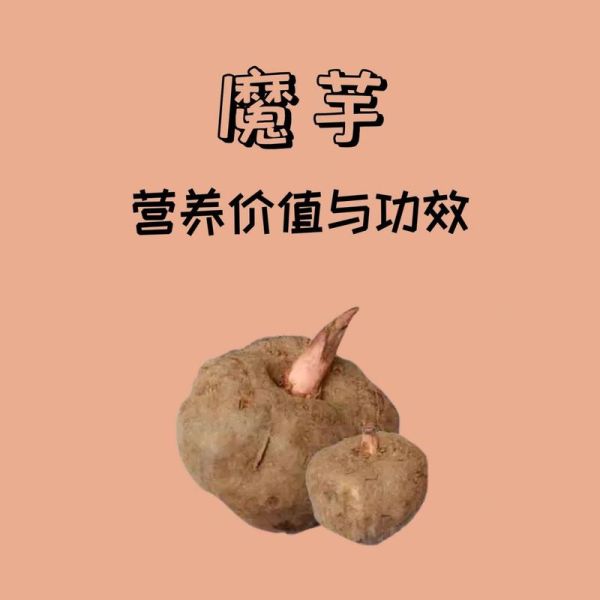 蒟蒻是什么东西_蒟蒻和魔芋的区别-第2张图片-山城妙识 蒟蒻是什么东西_蒟蒻和魔芋的区别-第2张图片-山城妙识