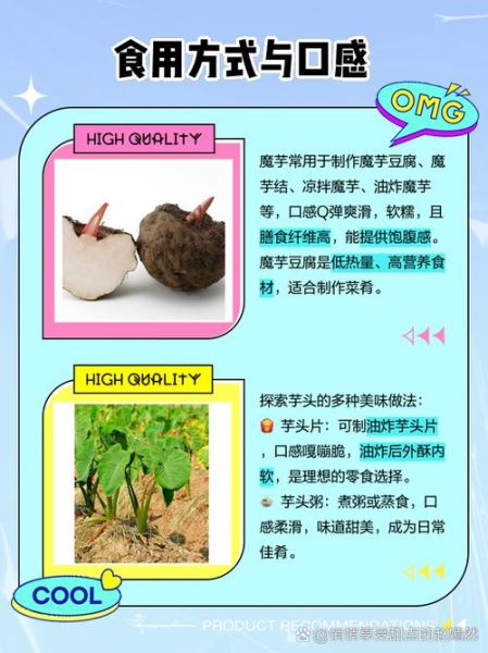 蒟蒻是什么东西_蒟蒻和魔芋的区别-第3张图片-山城妙识 蒟蒻是什么东西_蒟蒻和魔芋的区别-第3张图片-山城妙识