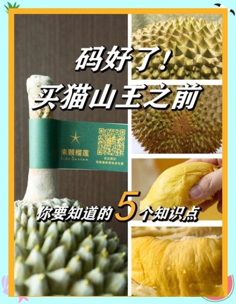 榴莲图片大全图片真实_如何辨别真假榴莲照片-第3张图片-山城妙识