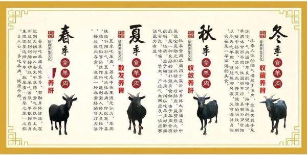 羊肉补什么功效与作用_冬天吃羊肉有什么好处-第1张图片-山城妙识 羊肉补什么功效与作用_冬天吃羊肉有什么好处-第1张图片-山城妙识